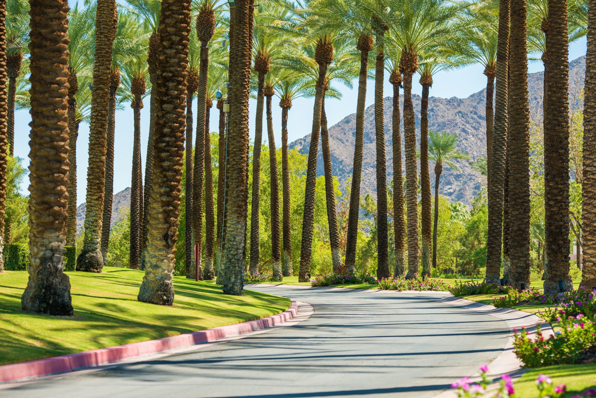 Top 10 Things To See and Do in Cathedral City, California – Stephen ...